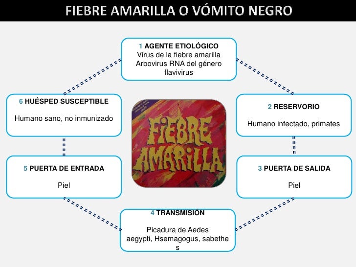 Cadenas de infección de enfermedades