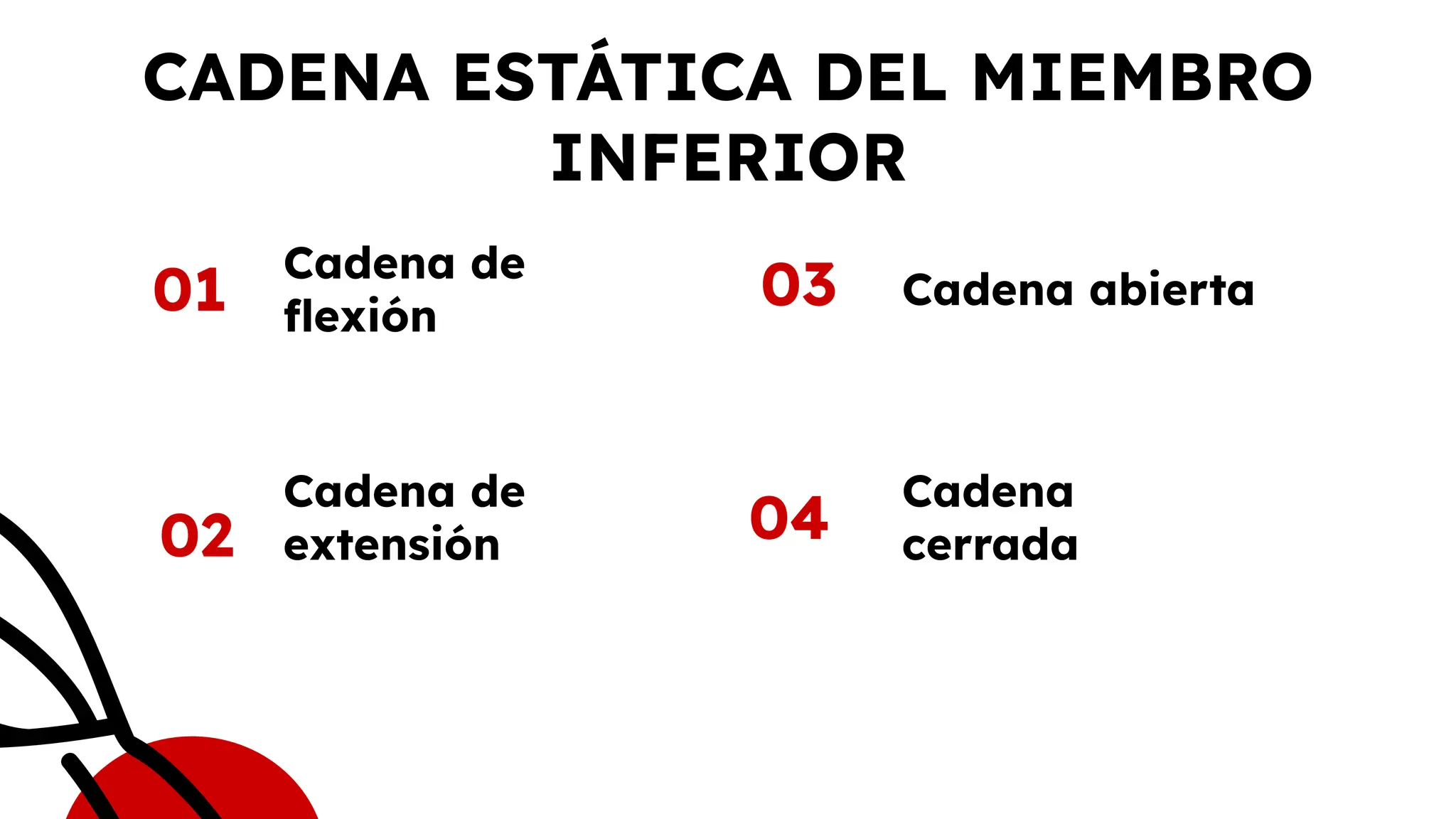 Cadenas Musculares del tronco, miembro superior e inferior y cadenas ...