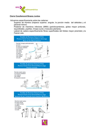 Cadenas musculares y familias de posturas | PDF