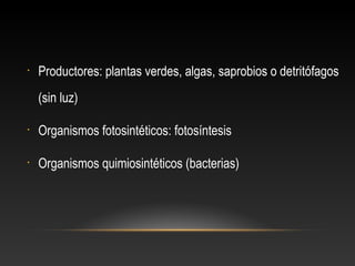 Cadenas troficas | PPT