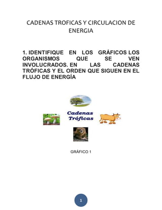 Cadenas troficas y circulacion de energia | DOCX