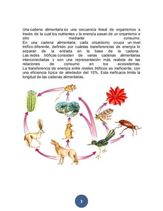 Cadenas troficas y circulacion de energia | DOCX
