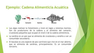 CADENAS Y REDES ALIMENTICIAS.pptx