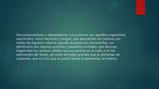 Cadena trofica y su entorno con el medio ambiente | PPTX
