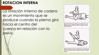 Evaluación Funcional de la articulación de la Cadera.pptx