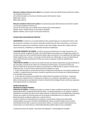Cadera biomecanica y_protocolos_rehabilitacion | DOC