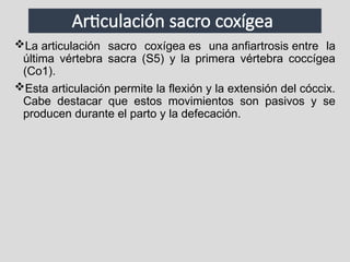 Funciones, huesos y articulaciones de la cadera y cintura pélvica. | PPTX