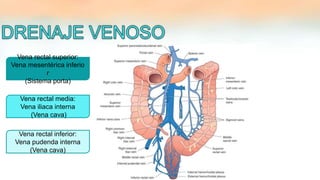 Cancer de Recto | PPTX