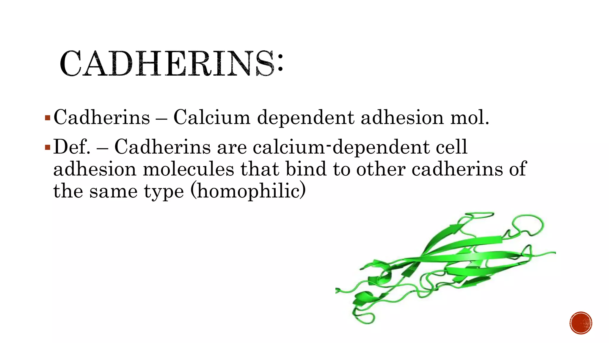 Cadherins & Catenins, M. Sc. Zoology, Mumbai University. | PPTX