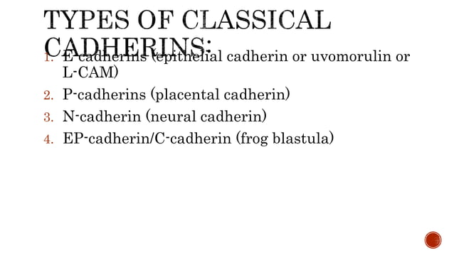 Cadherins & Catenins, M. Sc. Zoology, Mumbai University. | PPTX ...