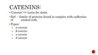 Cadherins & Catenins, M. Sc. Zoology, Mumbai University. | PPTX