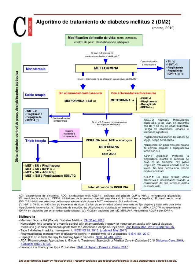 Cadime algoritmo diabetes mellitus 2