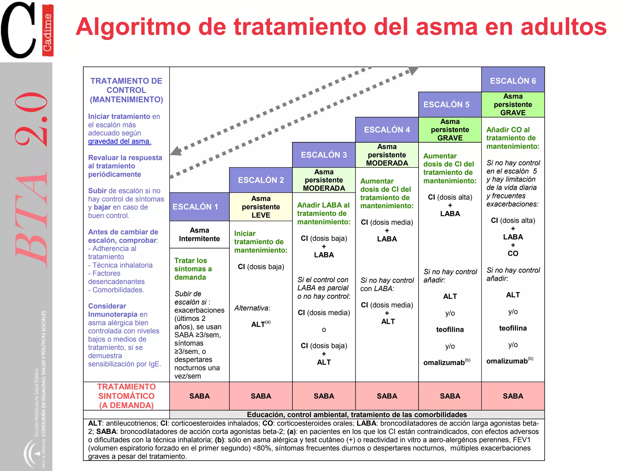 Tratamiento de mantenimiento del asma en adultos | PDF
