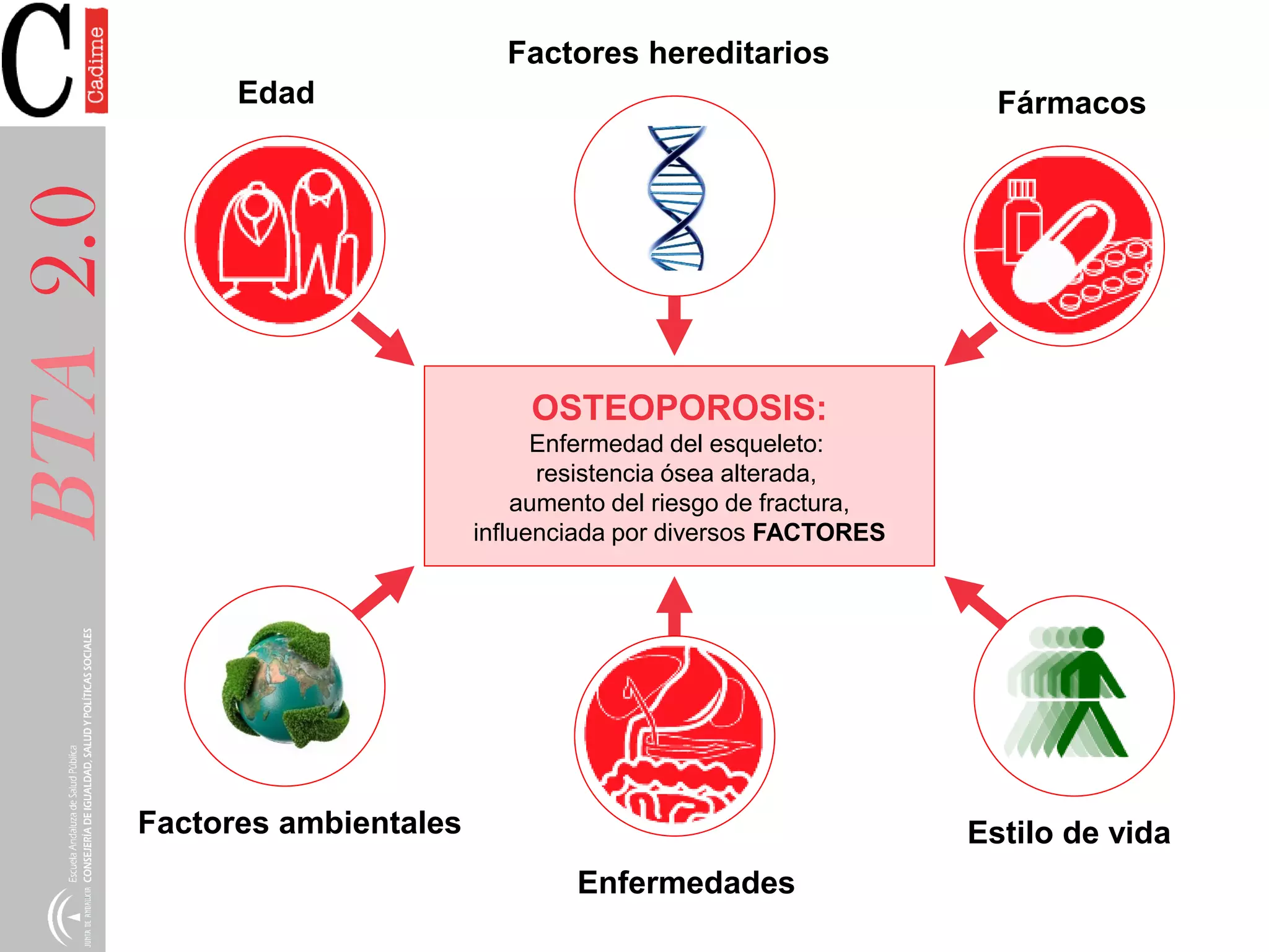 Prevención de fracturas osteoporóticas y duración del tratamiento | PDF