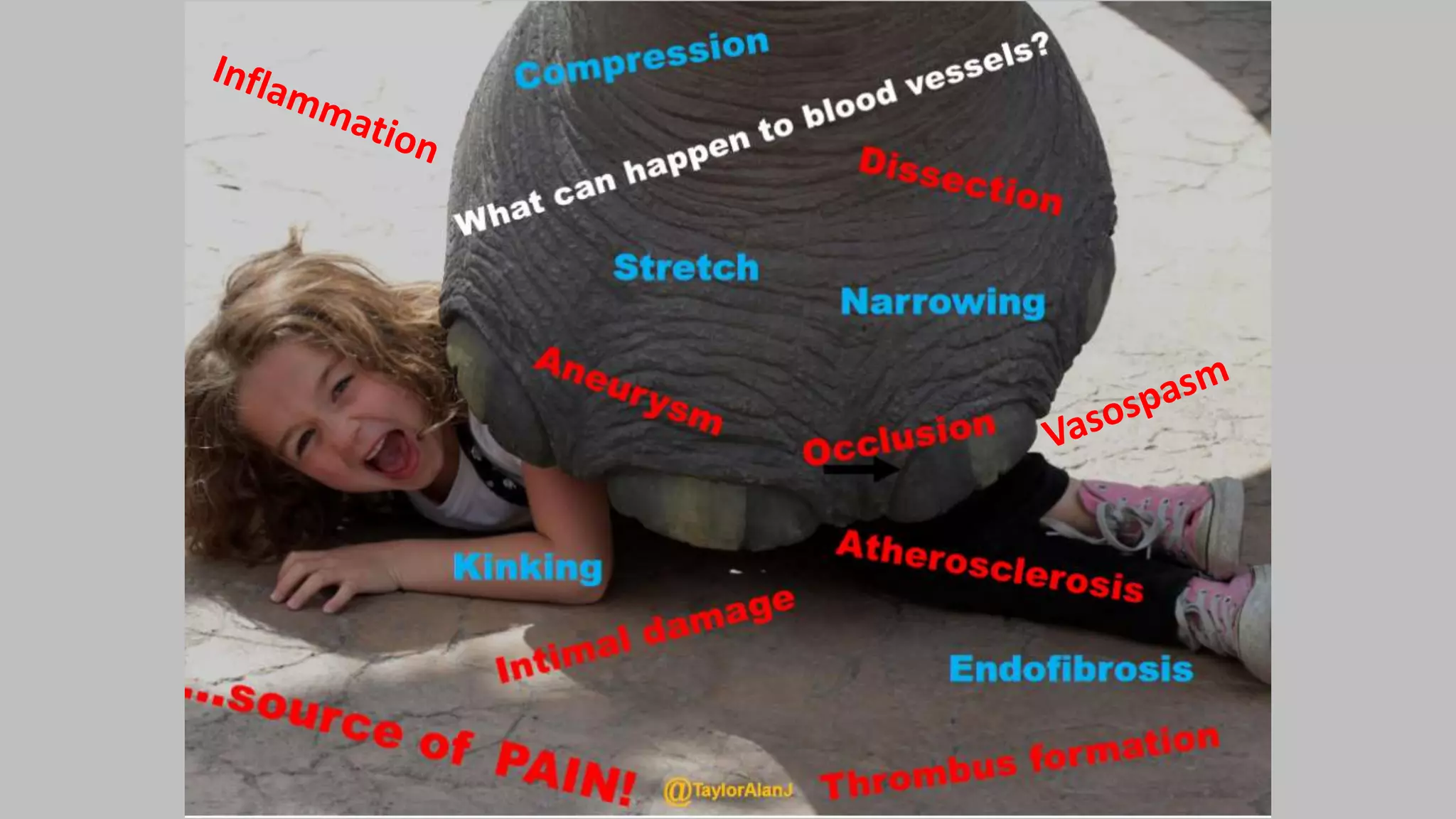 Cervical Arterial Dysfunction & Clinical Practice: Moving Forward | PPTX