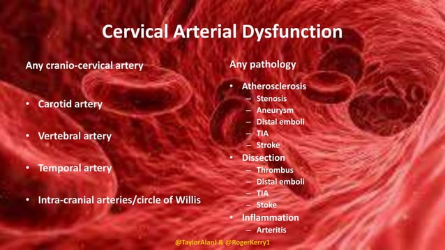 Cervical Arterial Dysfunction & Clinical Practice: Moving Forward