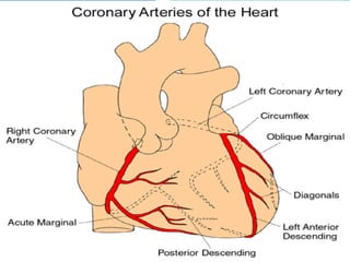 CAD AND MI (CORONARY ARTERY DISEASE AND MYOCARDIAL INFARCTION) | PDF