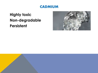 Cadmium in drinking water | PPTX