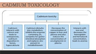 Cadmium Toxicity.pptx