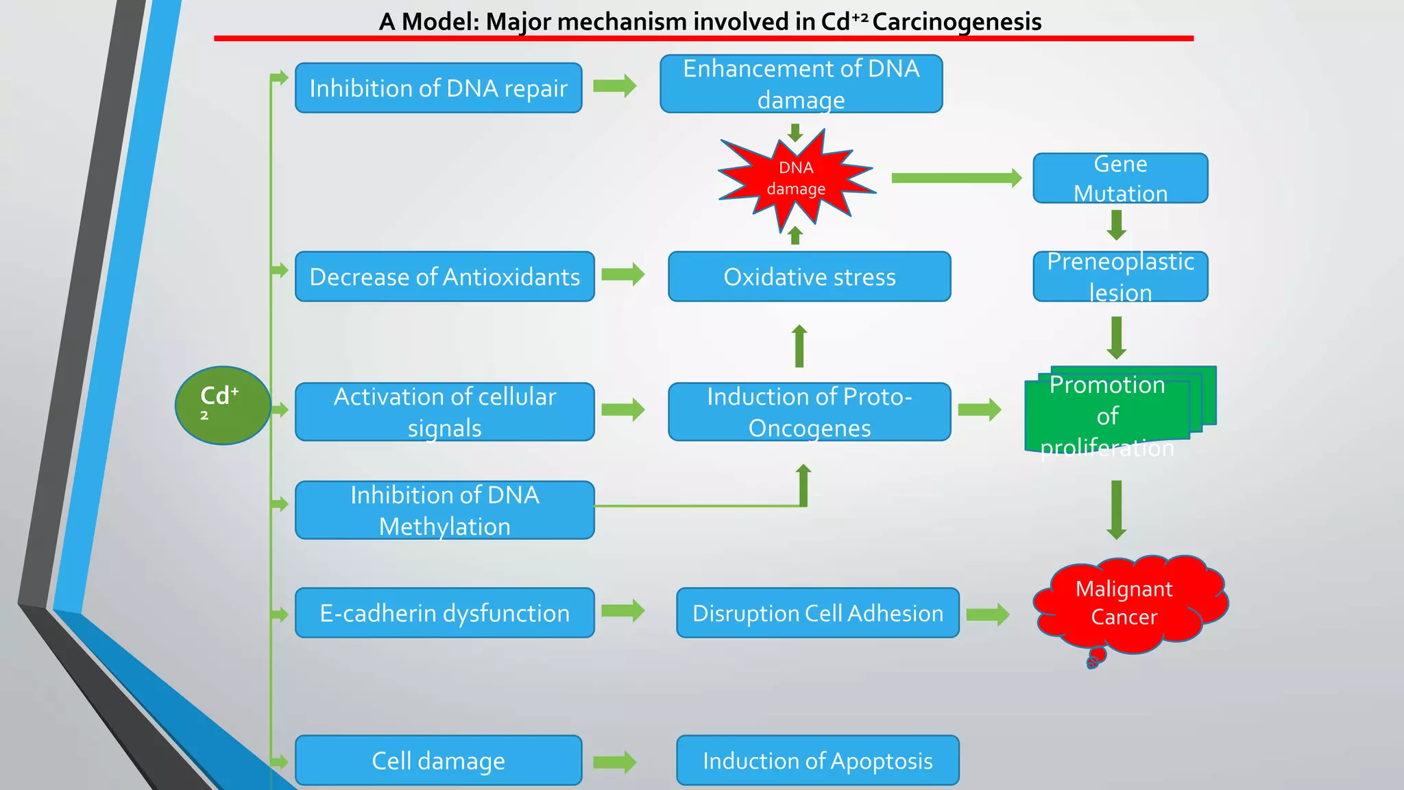 Cadmium toxicity abhi | PPTX