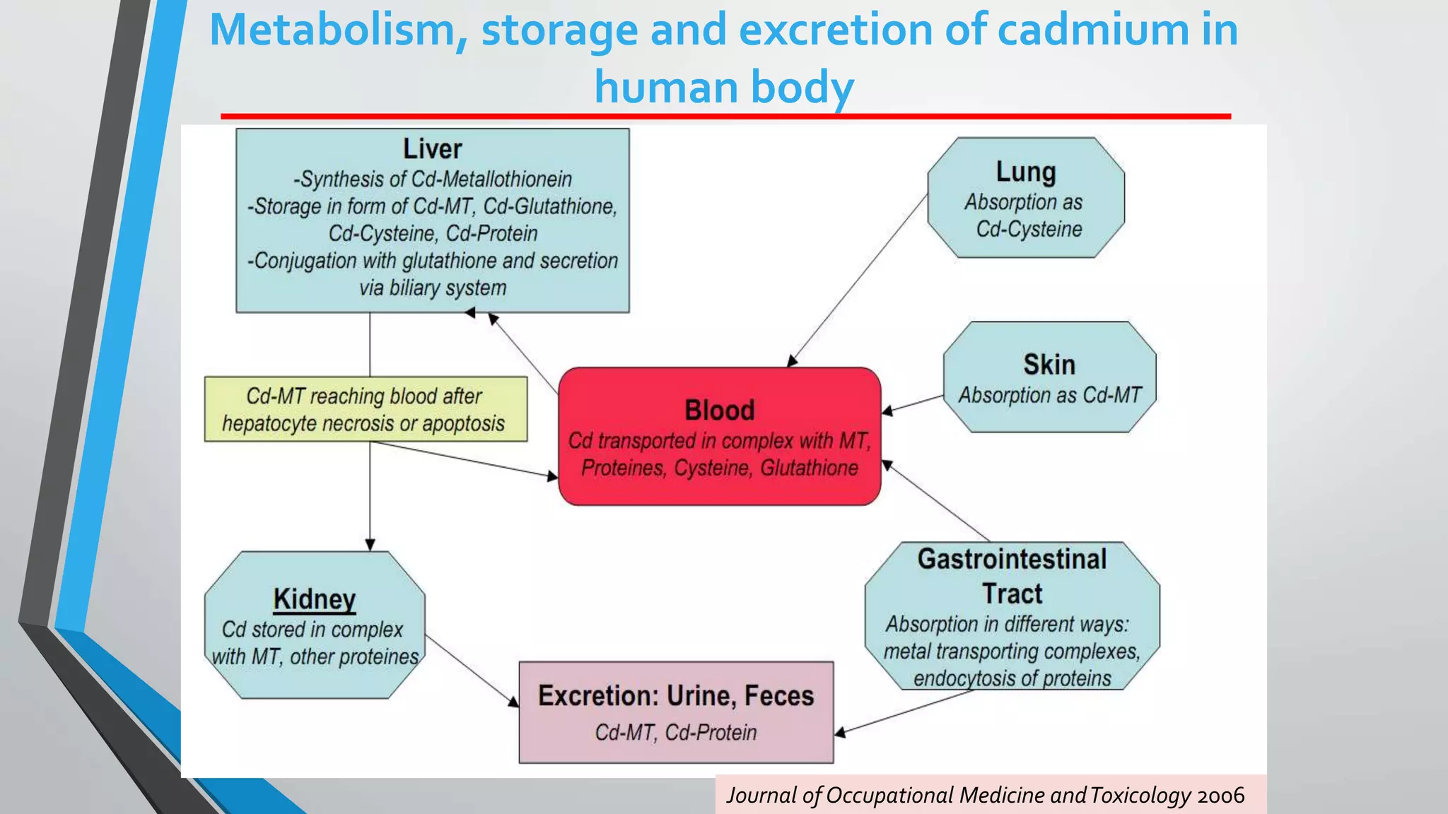 Cadmium toxicity abhi | PPTX