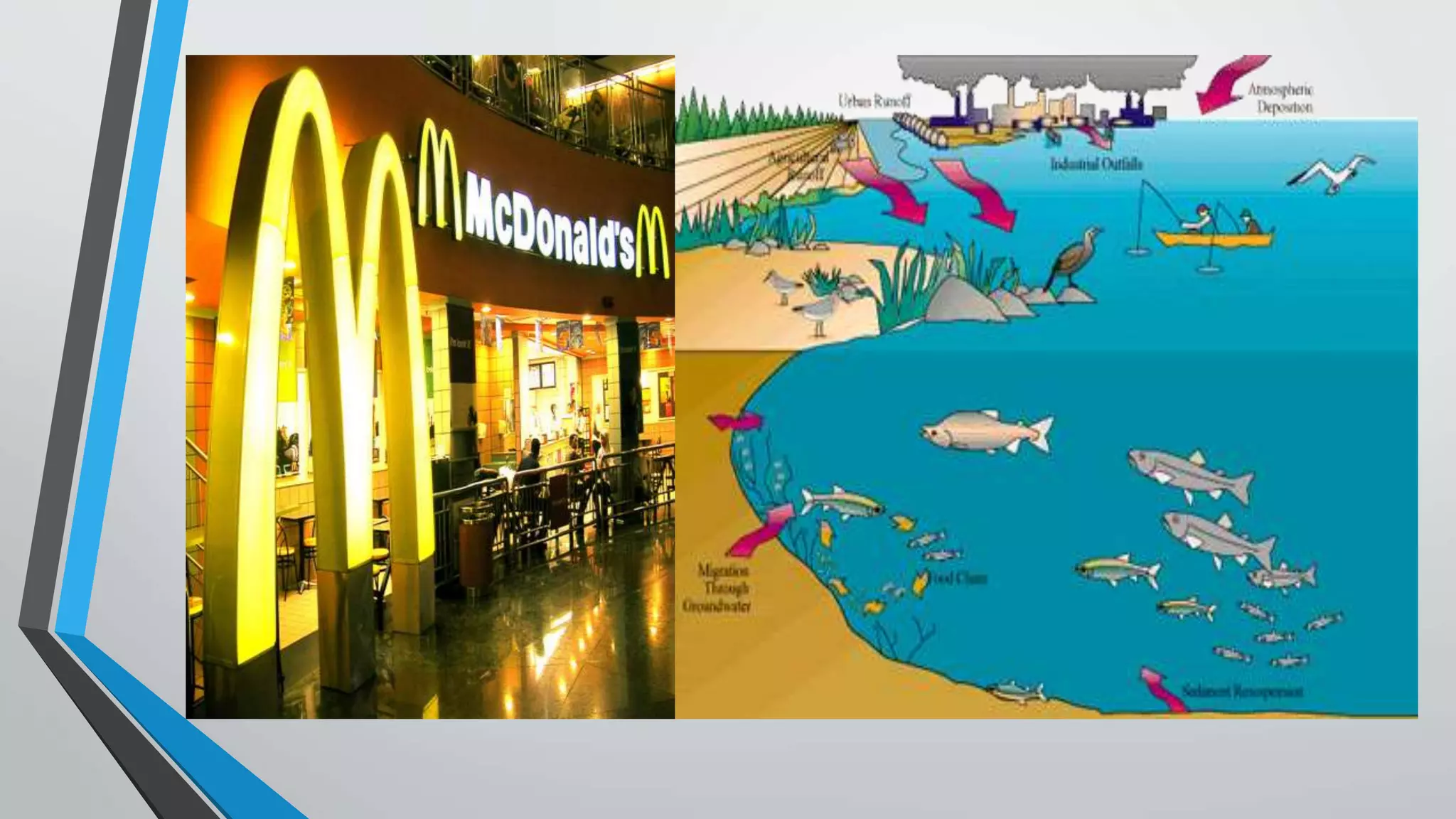 Cadmium toxicity abhi | PPTX