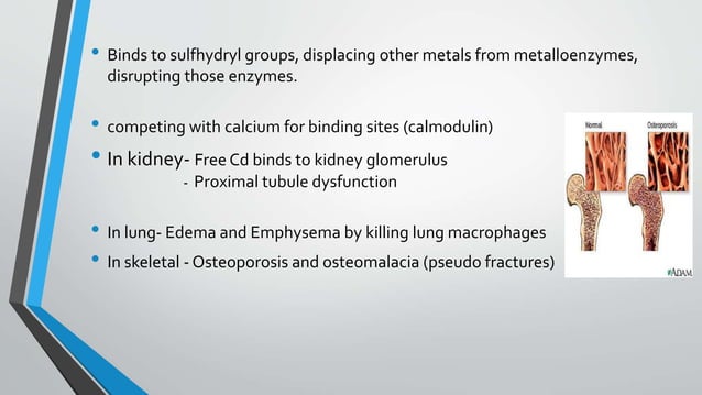 Cadmium toxicity abhi | PPTX
