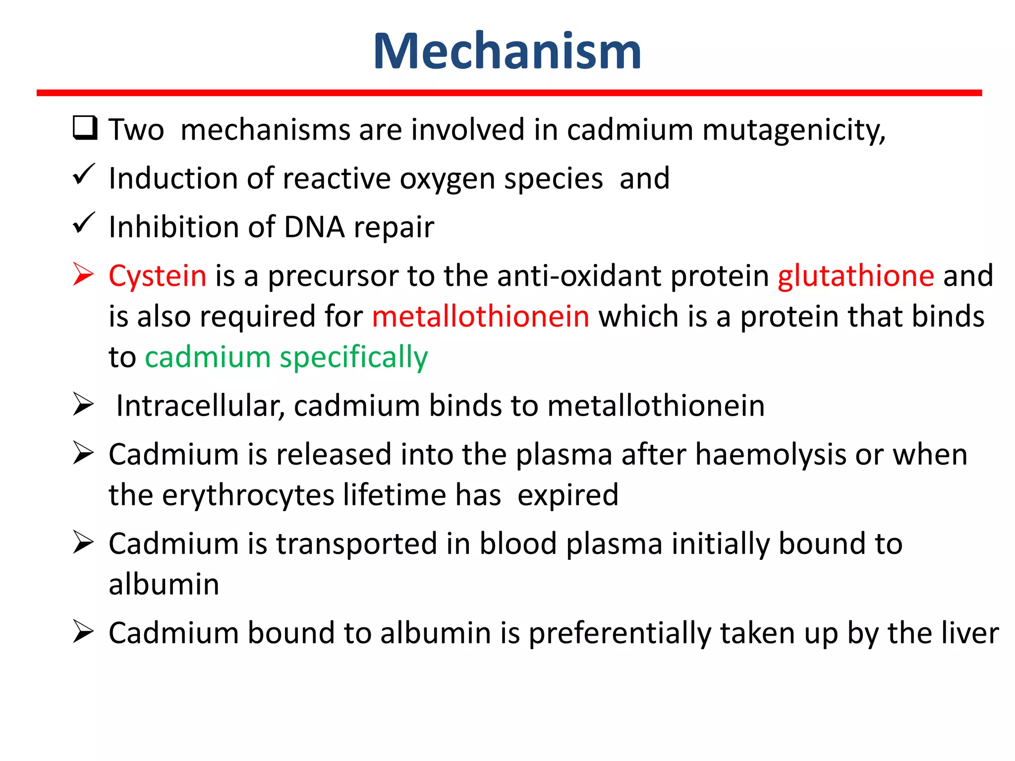 Cadmium toxicity in human | PPTX
