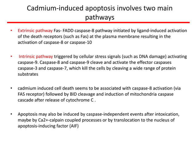 Cadmium toxicity in human | PPTX | Lung and Respiratory Health ...
