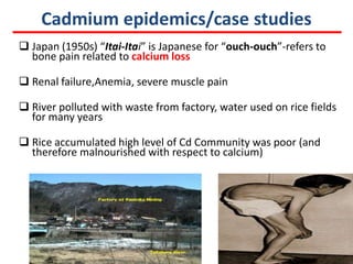 Itai Itai Disease In Japan