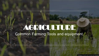 A lesson plan in agriculture: Common Farming tools and equipment | PPTX