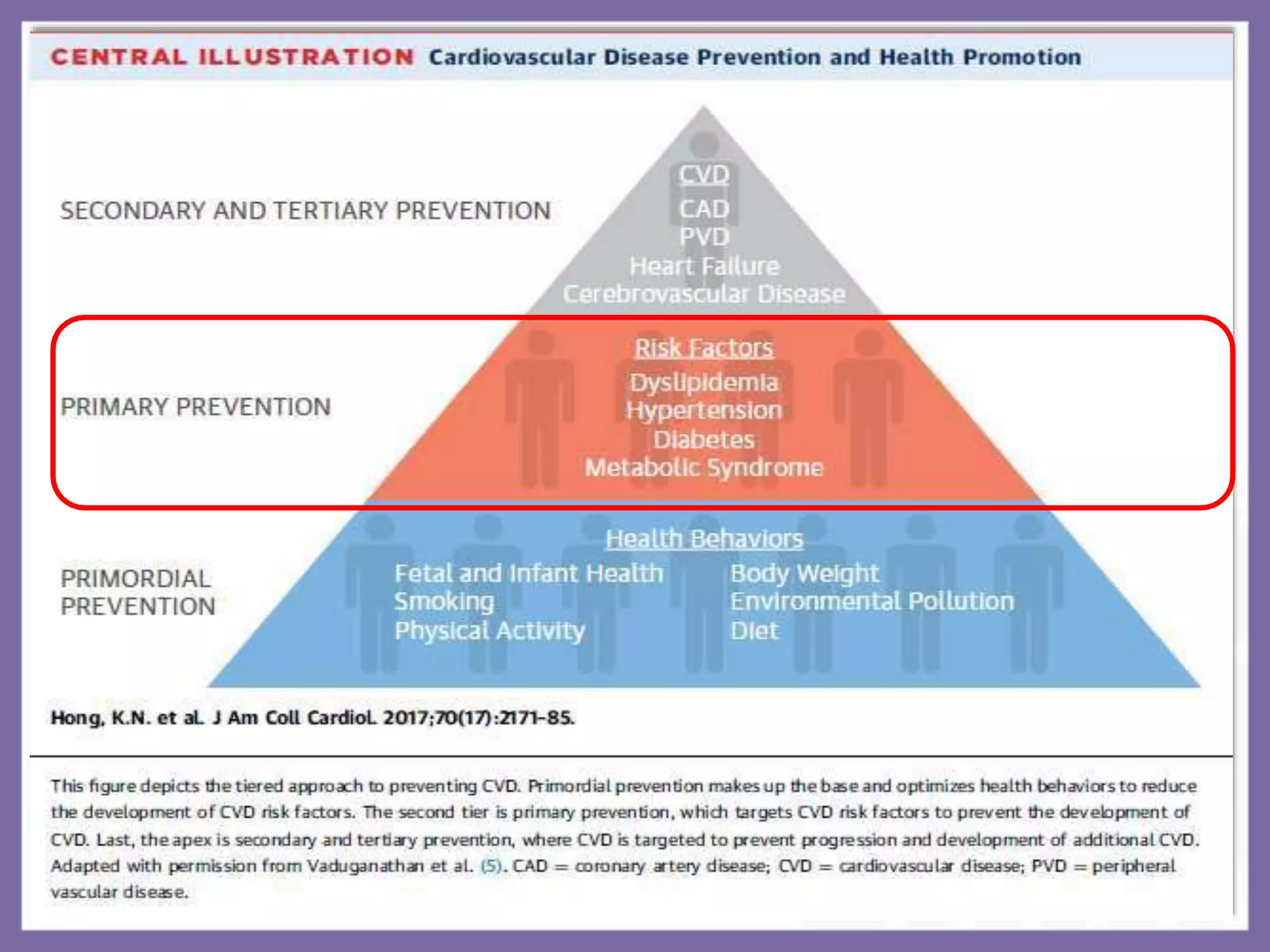 cadprimaryprevention-ppt.pptx