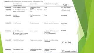 CAD RADS | PPTX | Heart and Cardiovascular Diseases | Diseases and ...