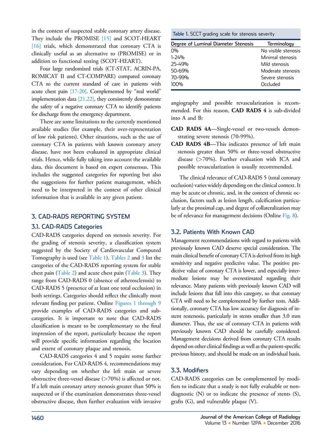 CAD RADS: Coronary Artery | PDF