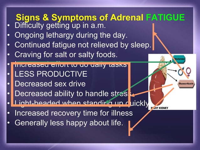 Thyroid Adrenals And Sex Hormones A Balancing Act Ppt