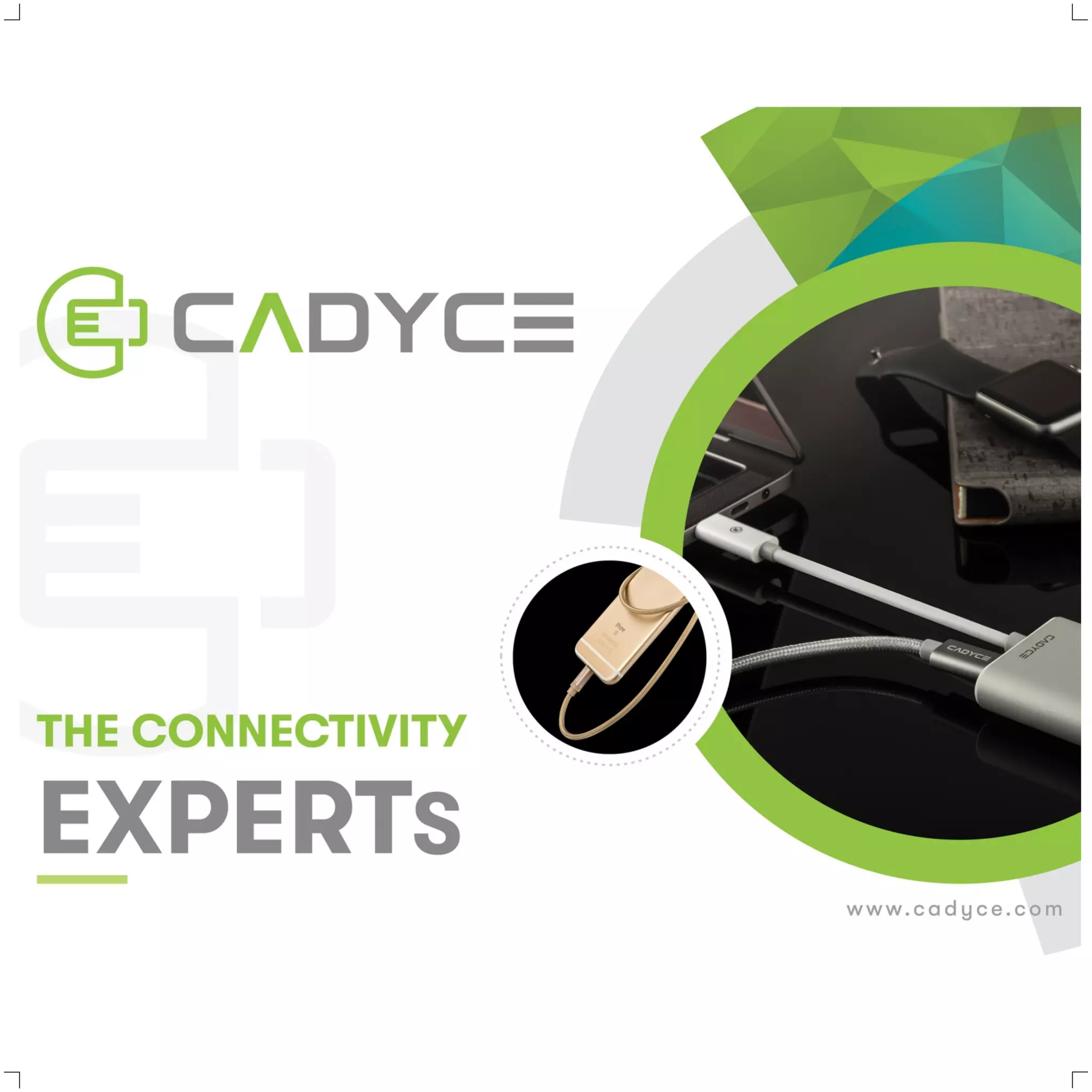 Cadyce Catalog 2018 | PDF