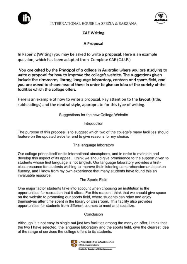 Cae writing-a-proposal-for-a-college-website | PDF