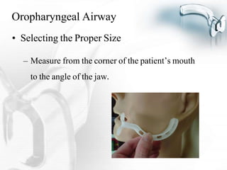 Oral Airway Presentation | PPTX