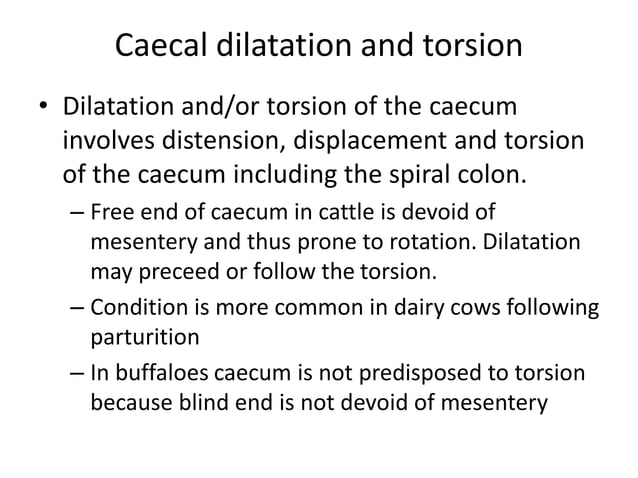 Caecal dilatation and torsion and correction.pdf