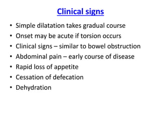 Caecal dilatation and torsion and correction.pdf