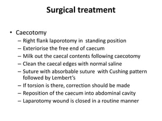 Caecal dilatation and torsion and correction.pdf
