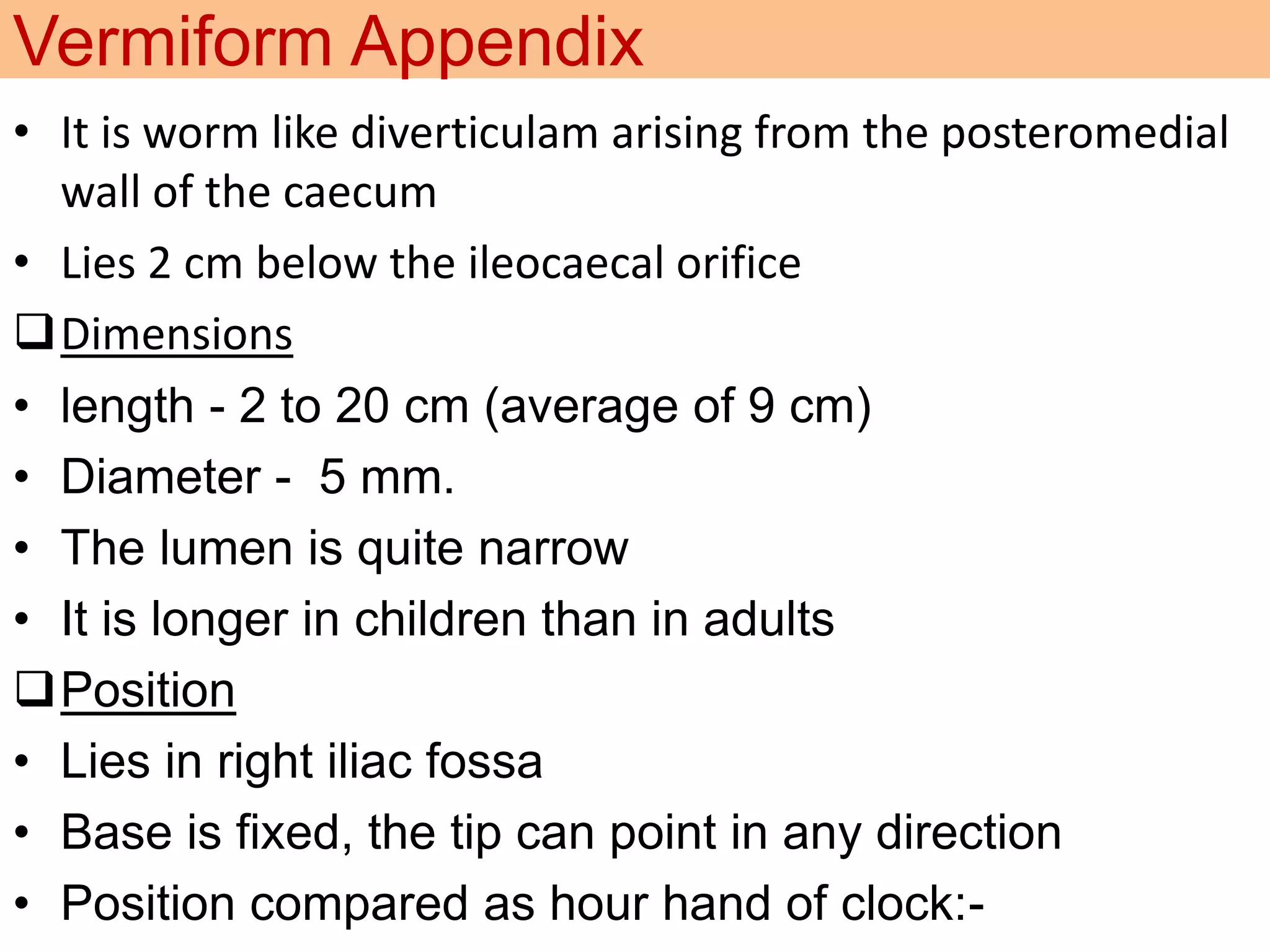 Caecum and vermiform appendix | PPTX