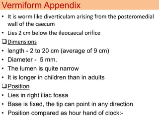 Caecum and vermiform appendix | PPTX