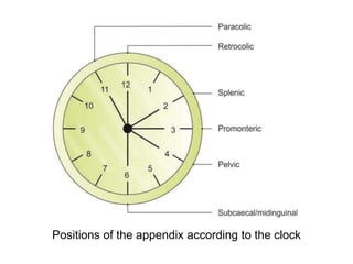 Caecum and vermiform appendix | PPTX