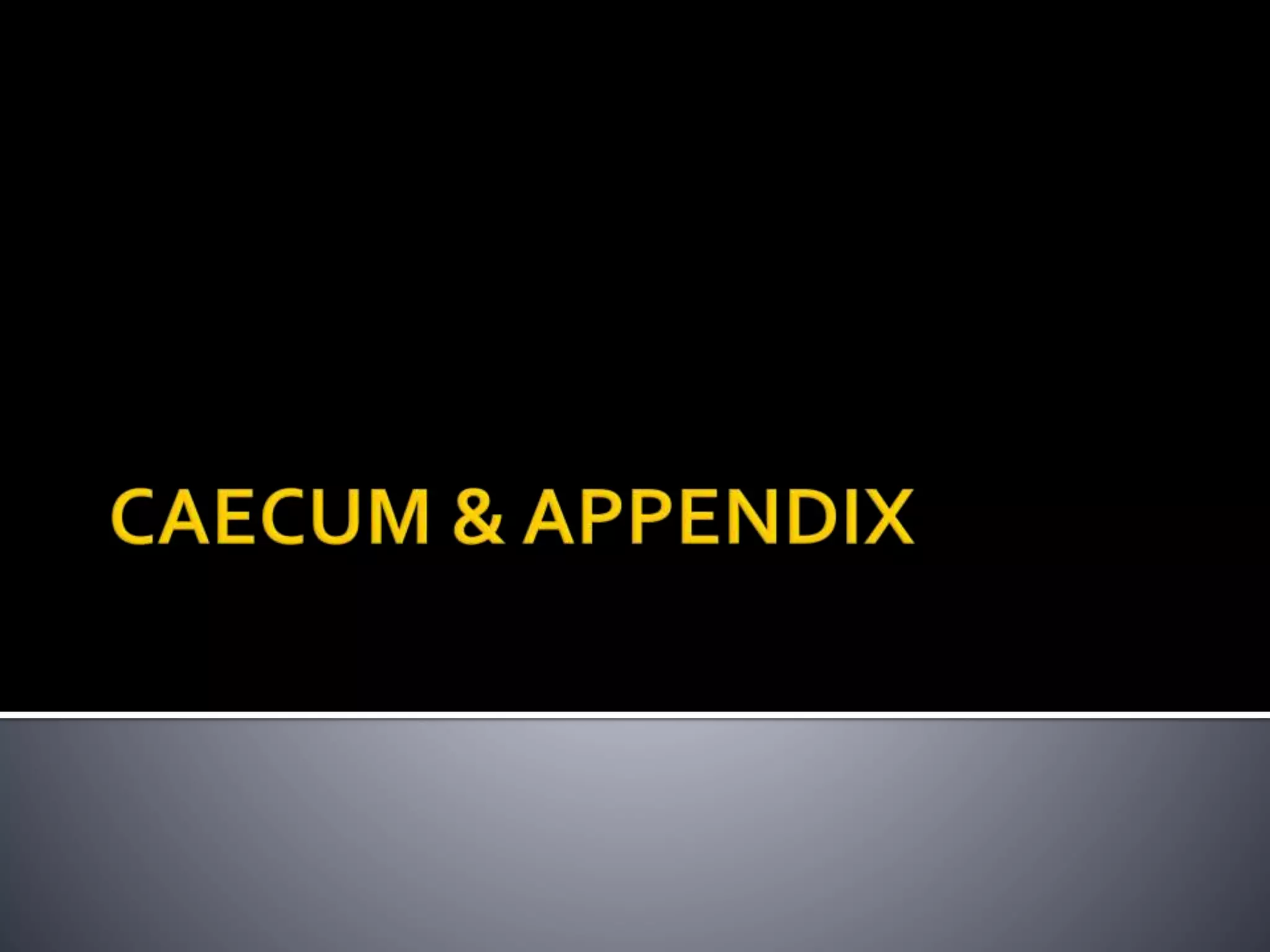 Anatomy of Caecum & Appendix.pptx
