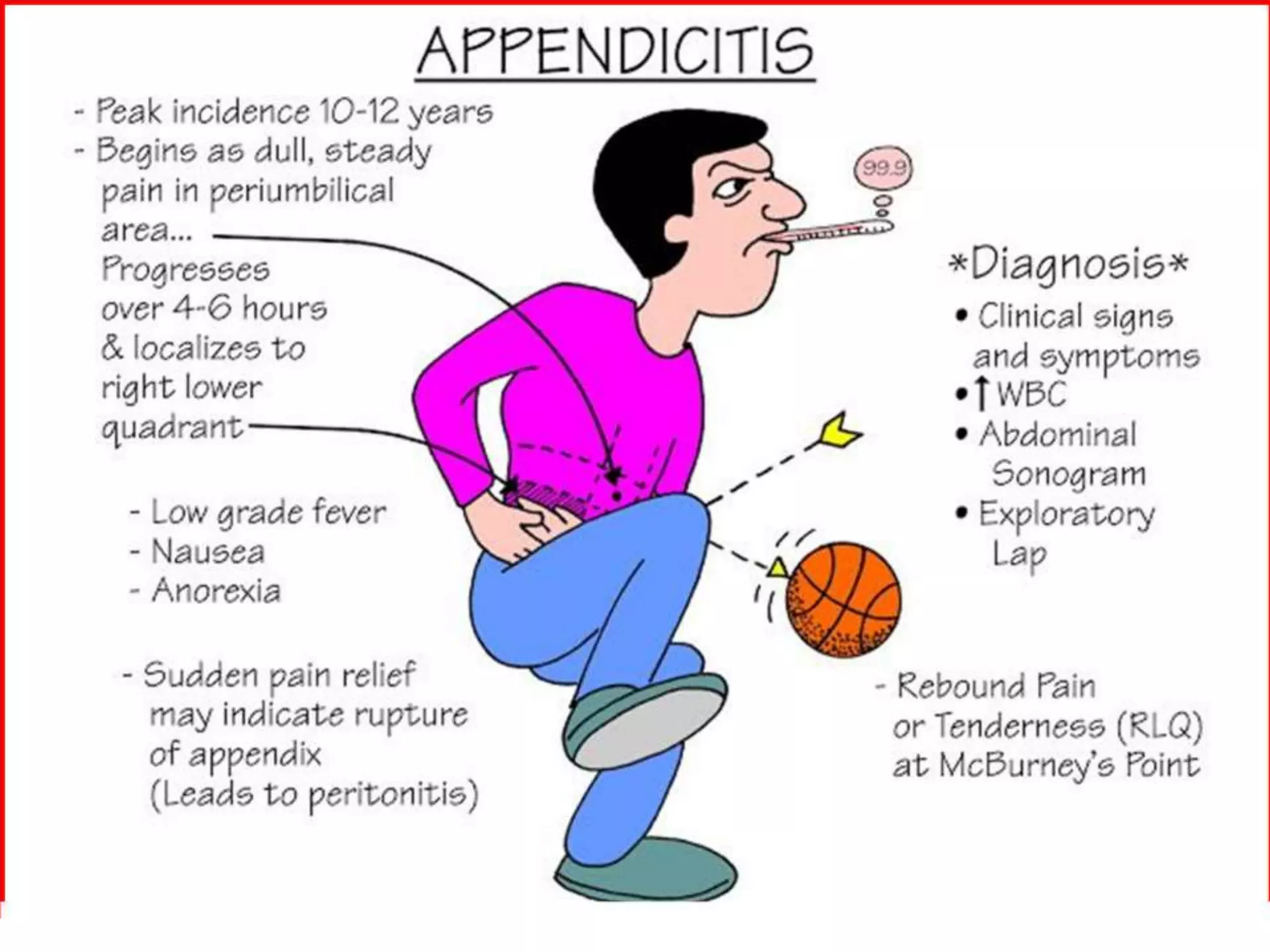 Anatomy of Caecum & Appendix.pptx