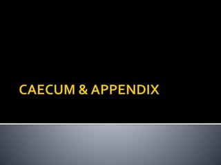 Anatomy of Caecum & Appendix.pptx