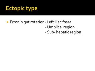 Anatomy of Caecum & Appendix.pptx