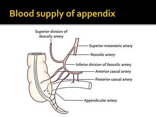 Anatomy of Caecum & Appendix.pptx