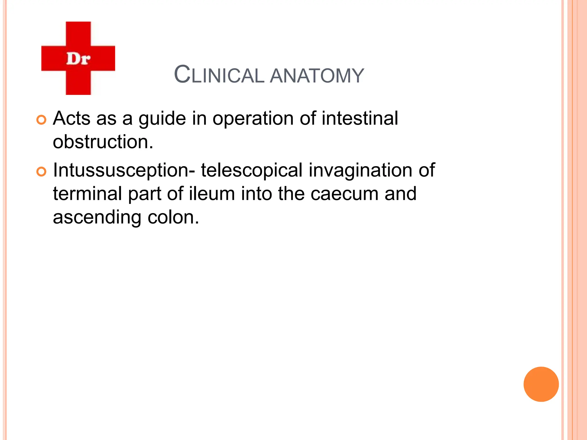 GROSS ANATOMY OF CAECUM & APPENDIX DR VKVS MBBS, MD.ppt